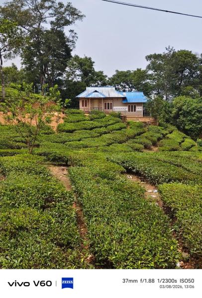 Tea Garden Cottage - Vagamon