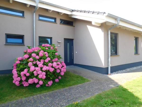 Sanddornhus - Ahrenshoop