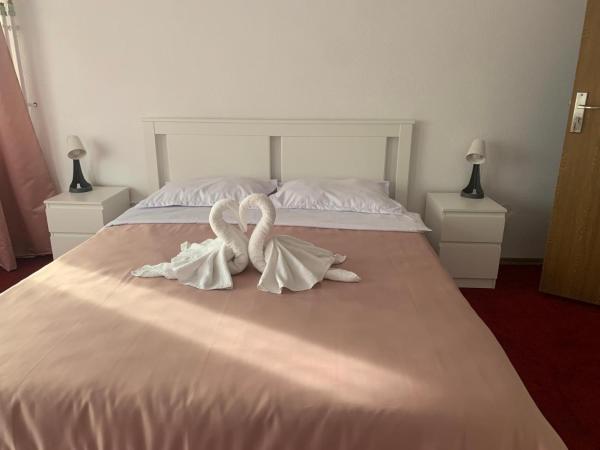 Palas Hotel - Slănic-Moldova