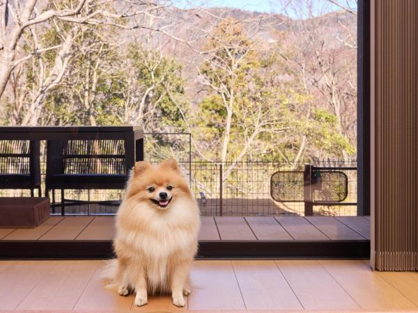 Rakuten Stay Villa Hakone Gora - Vacation Stay 35803v - Hakone