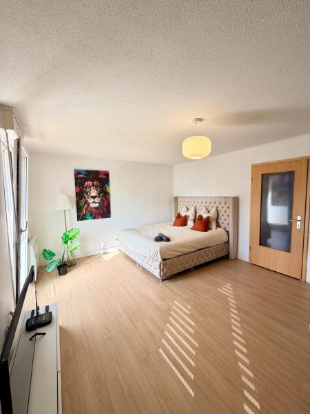 Appartement Cosy à 10 Min De Strasbourg - Bischheim - Brumath