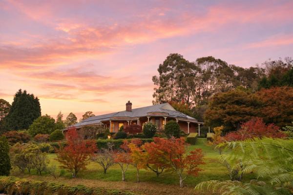 Tiverton - Kurrajong
