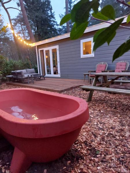 Ultiem Genieten In Boshuisje Løua - Nunspeet