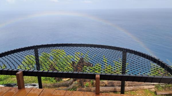 Eco-tourist Dreamstay Cliff Tree House Nusapenida - Bali