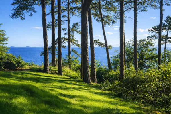Church Path Rooms - Minehead