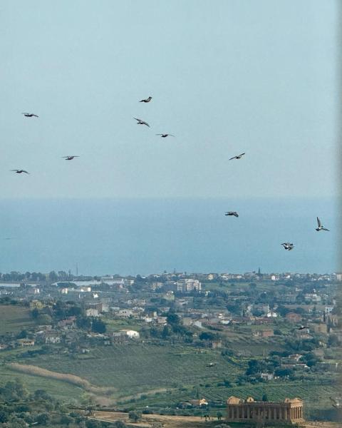 Miravalle Agrigento 2 - Agrigento