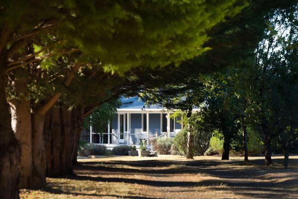 Langfields - Trentham