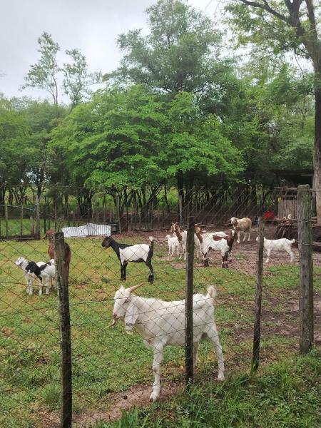 Casa Rodeada De Naturaleza - Benjamín Aceval