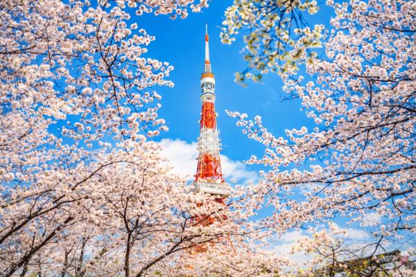 井上達也設計現代風旅館 京成線駅1分 都心移動便利 近北千住上野浅草銀座スカイツリー Wifi長期可 Wagamama千住 Y03室 - Akihabara
