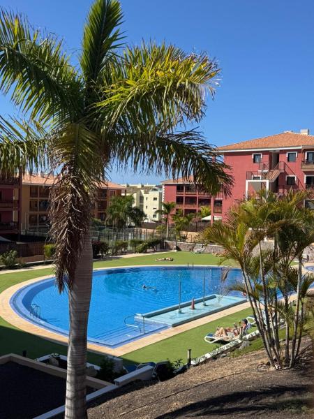 El Mocan Apartment Palm Mar - Arona