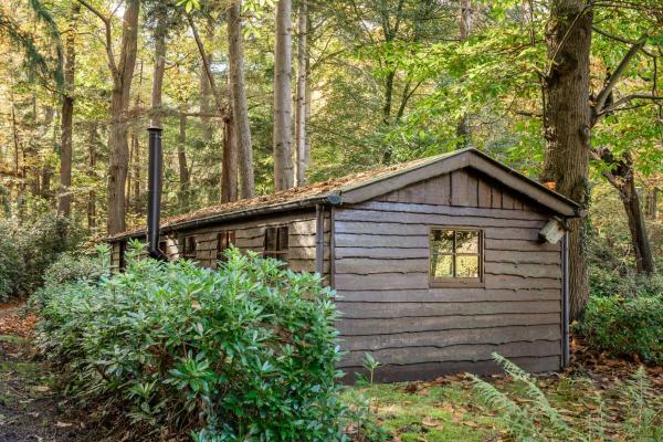 Forest Cabin Karper Quiet Cabin In The Woods - Zedelgem