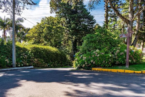 Rosa Chalé Do Vô Walter - Gramado