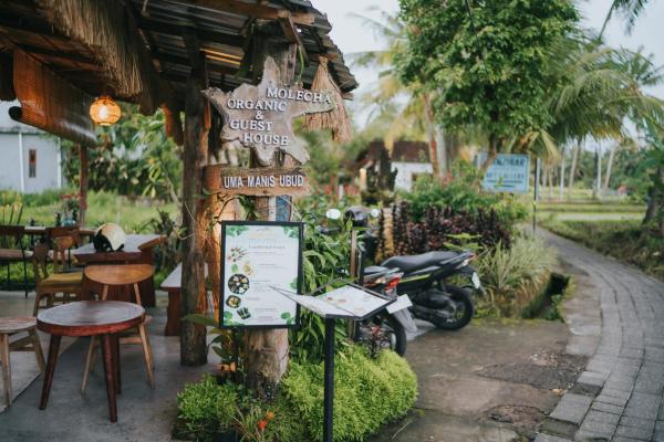 Sawah Manis Guest House - Ubud