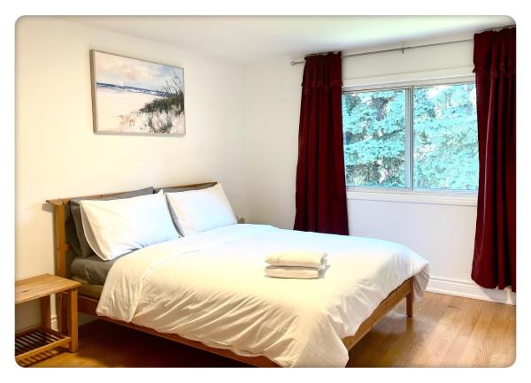 Cozy Queen Room With Shared Bath Near Seneca Donmills Finch - マーカム