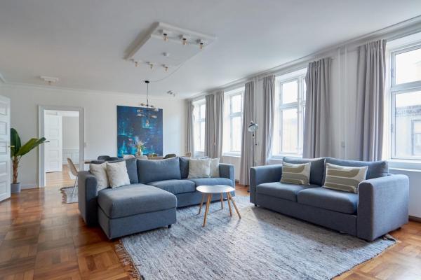 Spacious Danish Design Apartment Downtown - Copenhagen