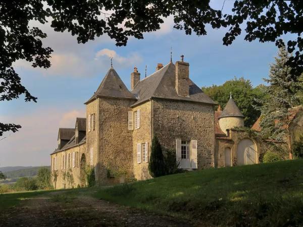 Cosy Castle In Onlay With Swimming Pool - Nièvre