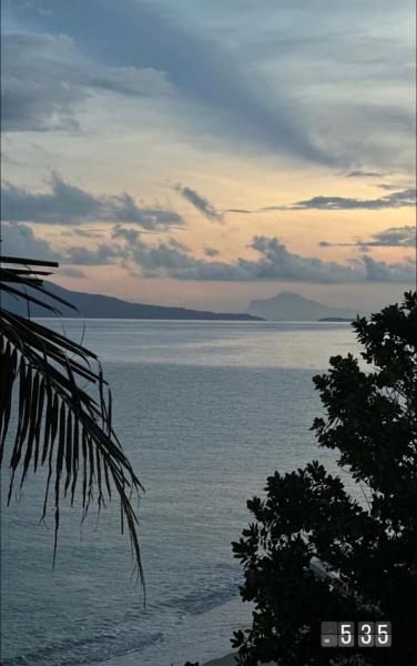 D Mountain Beach Resort - Puerto Galera