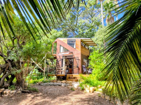 Zencapetown Forest Retreat - Cape Town
