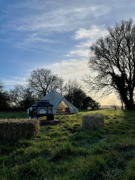 Happy Meadows - The Chick Inn - Suffolk