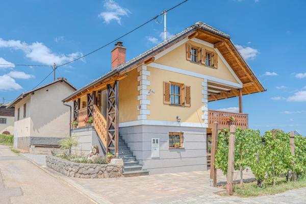 Vineyard Cottage Stepan - Slovenia