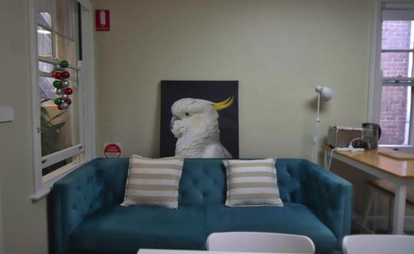 Walk To Crown Casino, Barangaroo, The Rocks, Sydney Cbd Water Views - Manly