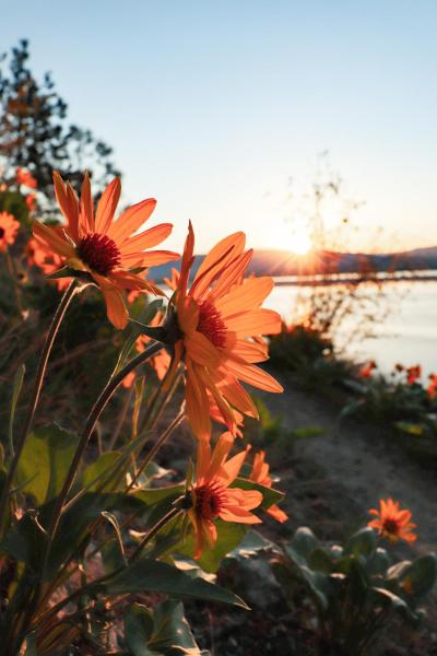The Kalamoir Suite - West Kelowna