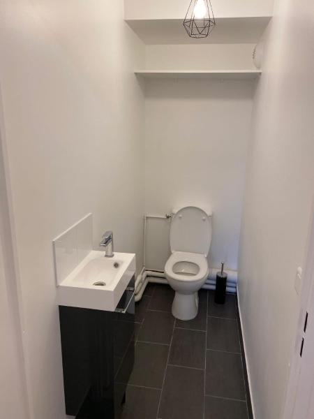 Wald Blick Sommer - Dachau