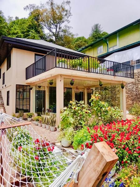 Clover Cottage - Nuwara Eliya
