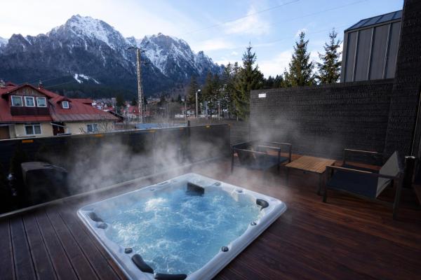 Sky Nest Chalets - Predeal