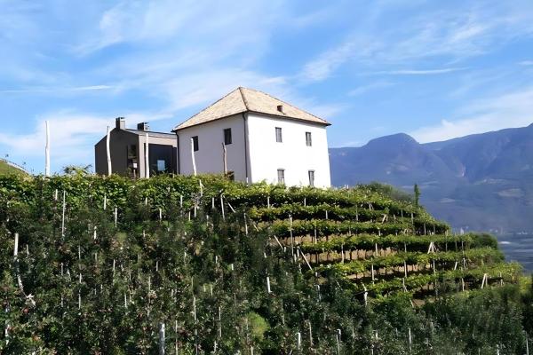 Apartment Am Grübl - Lana