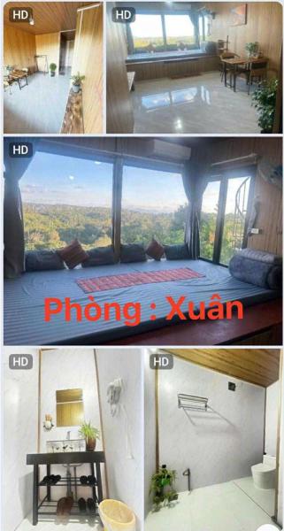 Bình Nguyên Homestay - Quang Ngai