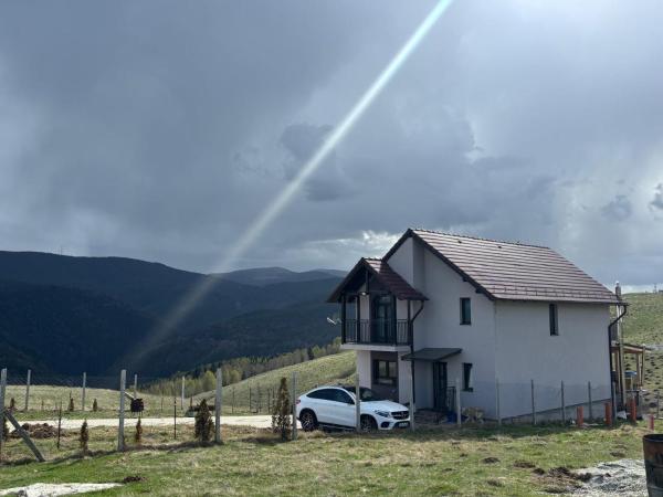 Vila Narci Paltinis - Cristian