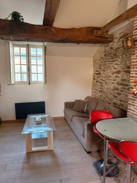 Cocon En Pierre Au Coeur De Nantes - Saint-Sébastien-sur-Loire