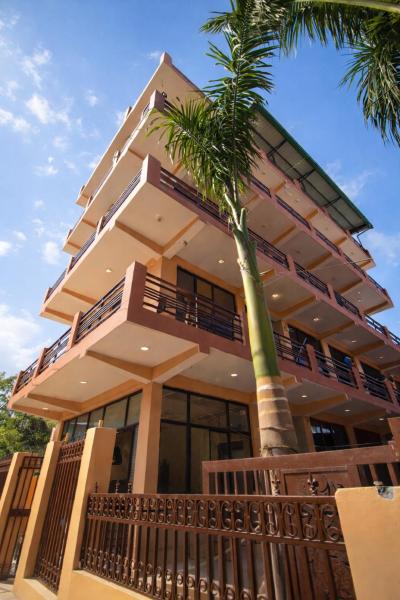 Moon And Root - Rishikesh