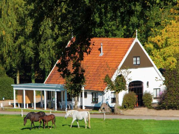 Chalet In Overijssel With Spacious Terrace - Netherlands