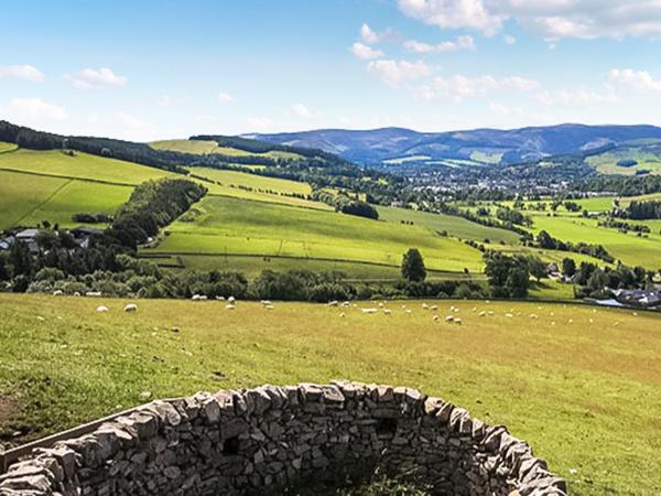 Bothy Cottage - Uk51350 - Peebles