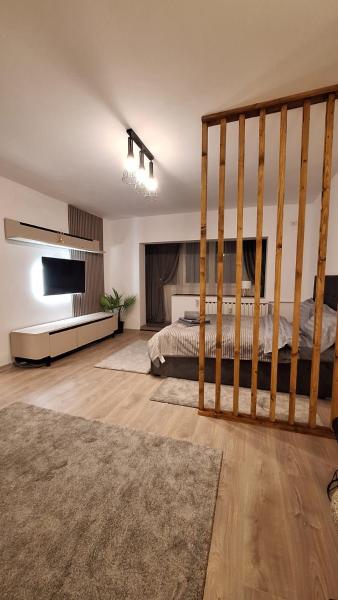Cochet Studio Alba Iulia - Bucarest