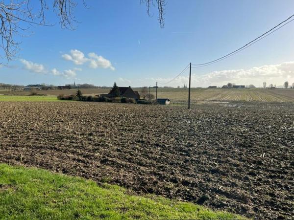 Ons Heerens Boompje - Poperinge
