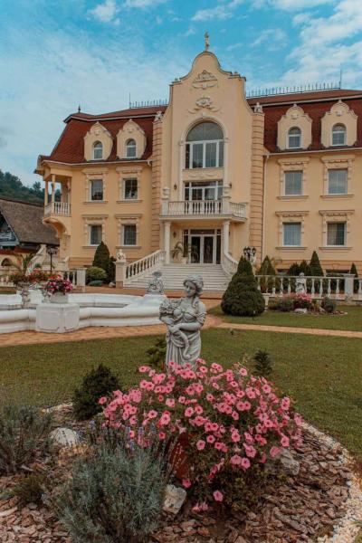 Villa Ludwig Шаян - Maramureș