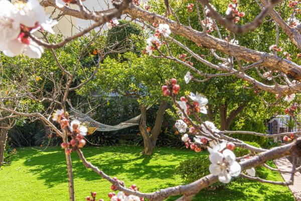 Il Giardino Dei Gigli - Vico Equense