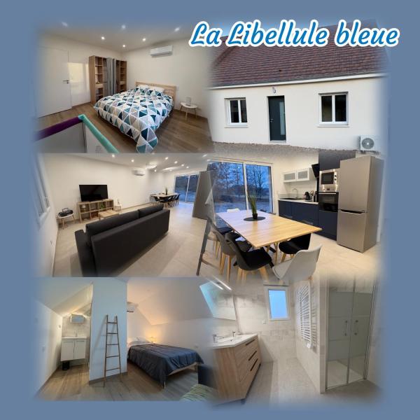 La Libellule Bleue - Saint Aignan