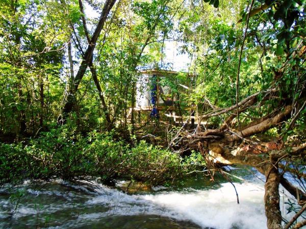 A To Z Ecofarm - Belize