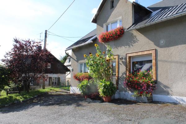 Ferienwohnung Am Mühlbach - Klingenthal