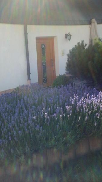 Haus Gemütlichkeit - Schotten