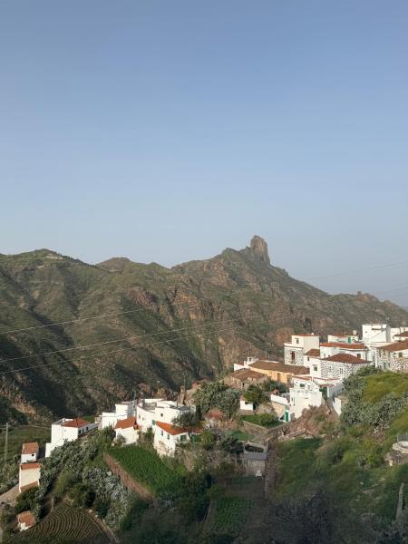 Nature In Tejeda 2 - Tejeda