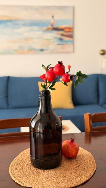 Apartment Svetionik - Novi Sad