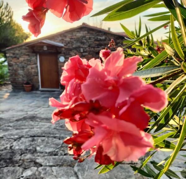 Casa Da Eira - Arganil