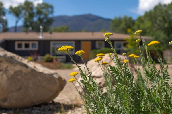 Fun And Eclectic Mcniffityville! Dog Friendly - Near Town! - Salida, CO