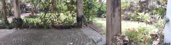 Garden Canopy In The Heart Of The City - Colombo