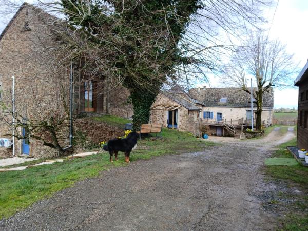 Domaine De Lasfonds - Aveyron